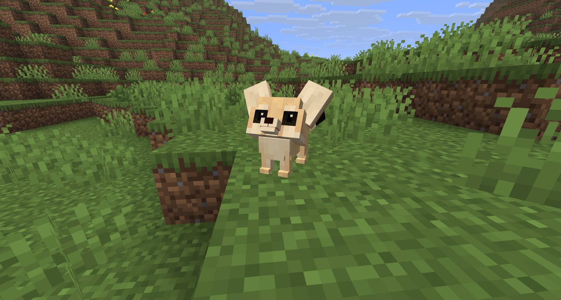 Animal Garden Fennec Fox для Minecraft 26.2