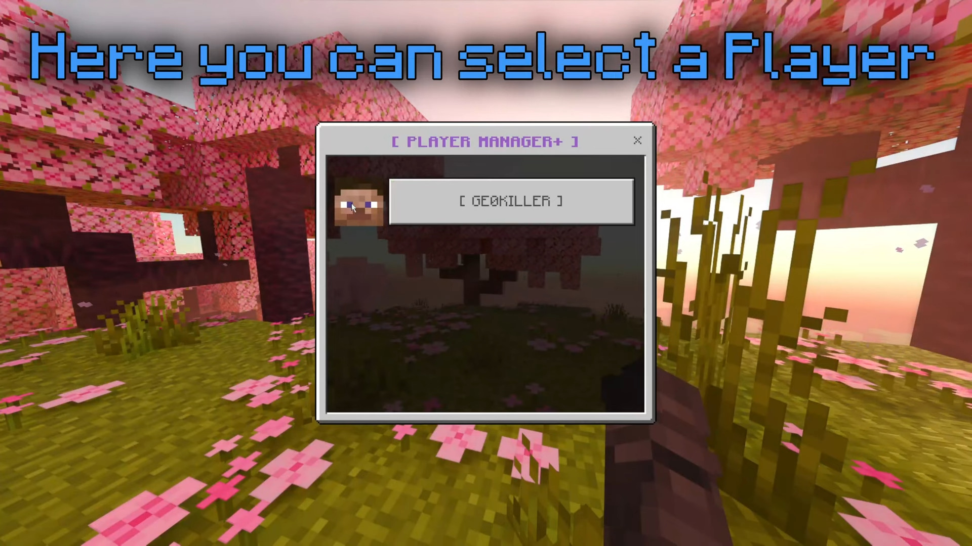 Better Chat Ranks for Minecraft Pocket Edition 1.21