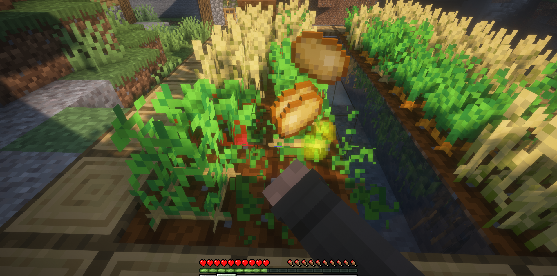 Crops XP for Minecraft 1.21.10