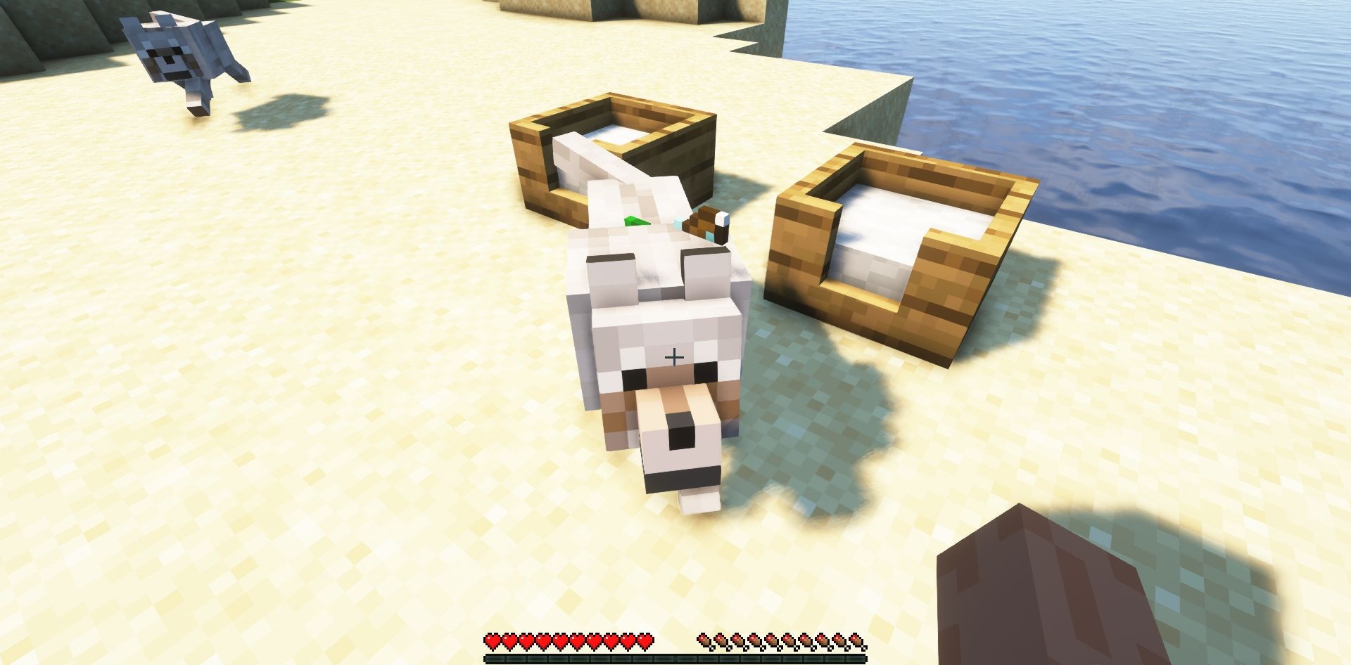 Doggy Talents Next for Minecraft 1.21.10