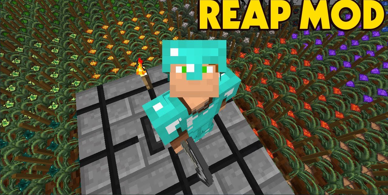 Reap for Minecraft 1.21.11