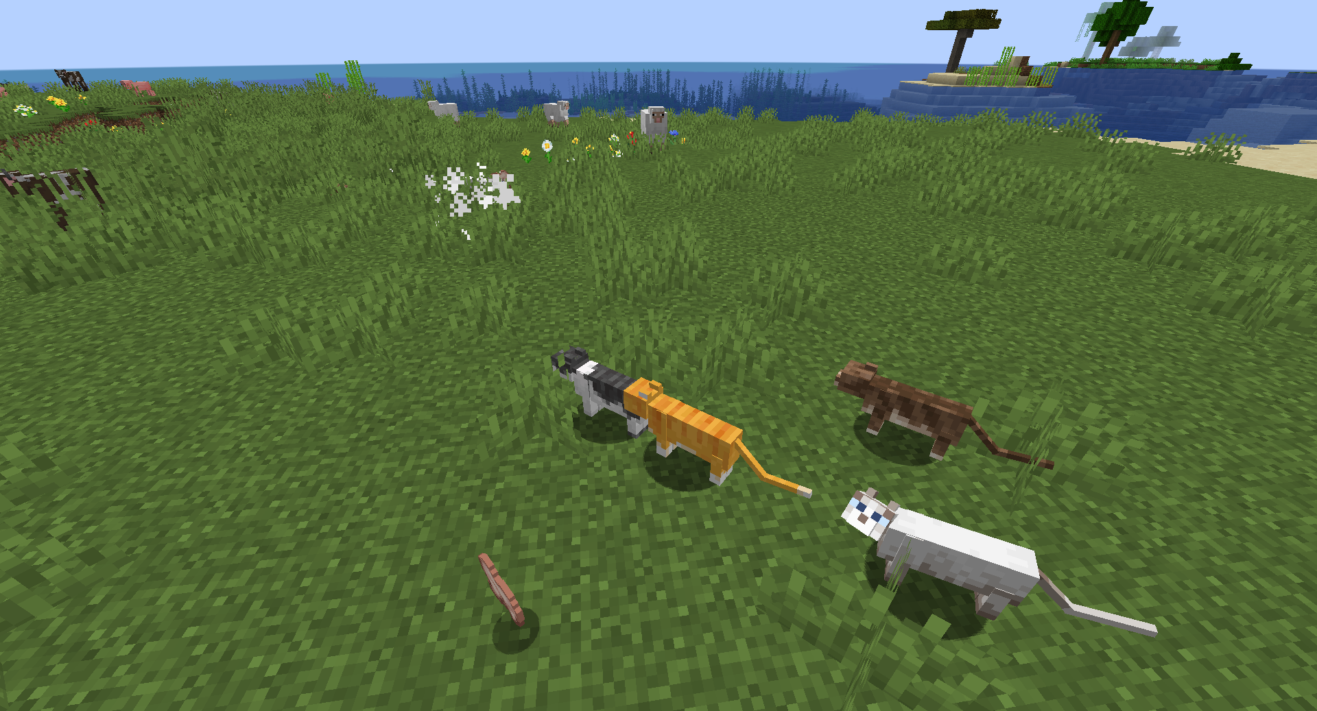 Revamped Cats for Minecraft 1.21.10