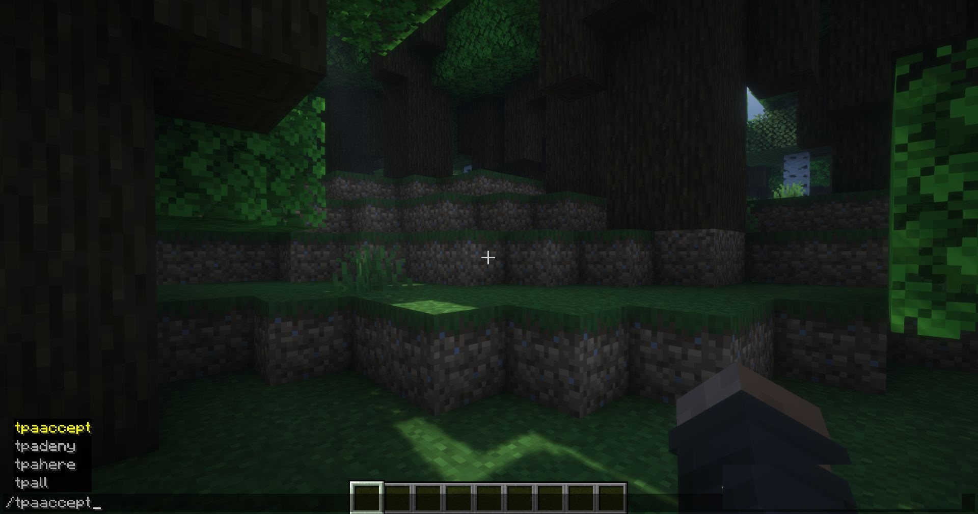 Saro’s Essentials for Minecraft 1.21.10