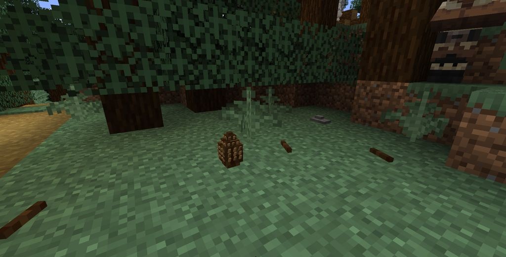 This Rocksfor Minecraft 1.21.10