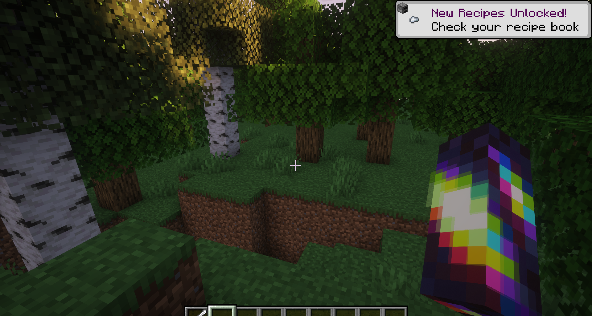 View Model for Minecraft 1.21.10