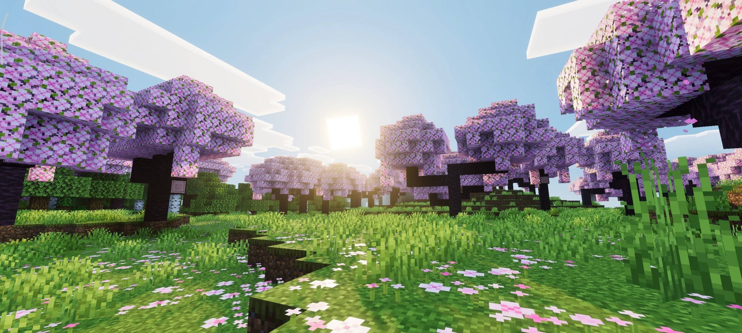 Voxen Visuals для Minecraft Pocket Edition 1.21